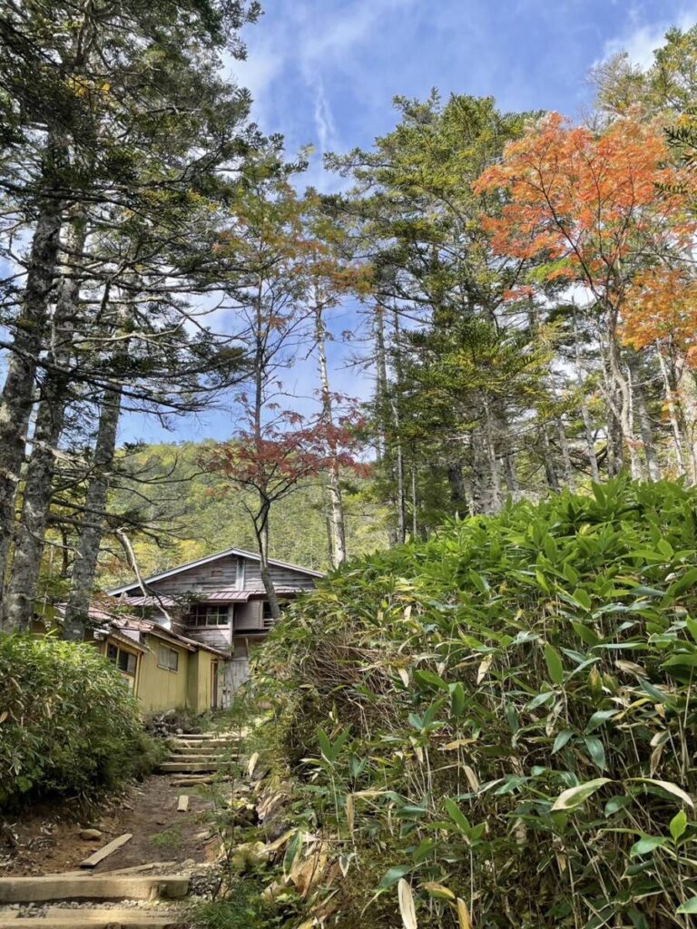 紅葉状況🍁 | 【公式】ONTAKE Ropeway｜おんたけロープウェイ・長野県木曽御嶽山