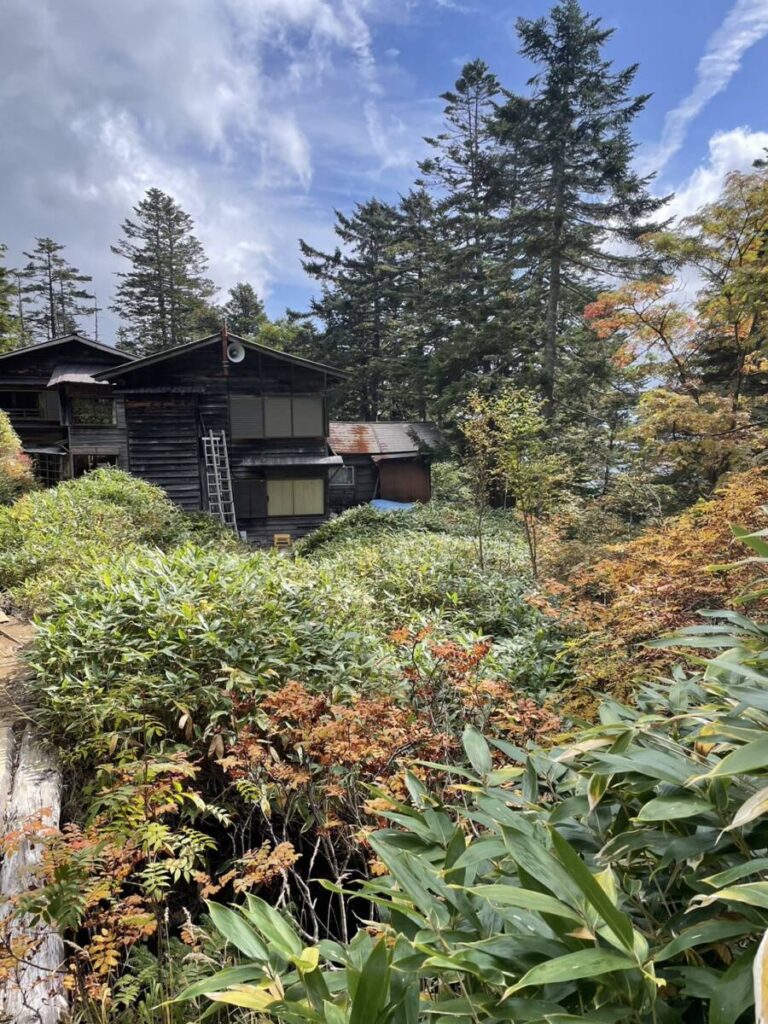 紅葉状況🍁 | 【公式】ONTAKE Ropeway｜おんたけロープウェイ・長野県木曽御嶽山